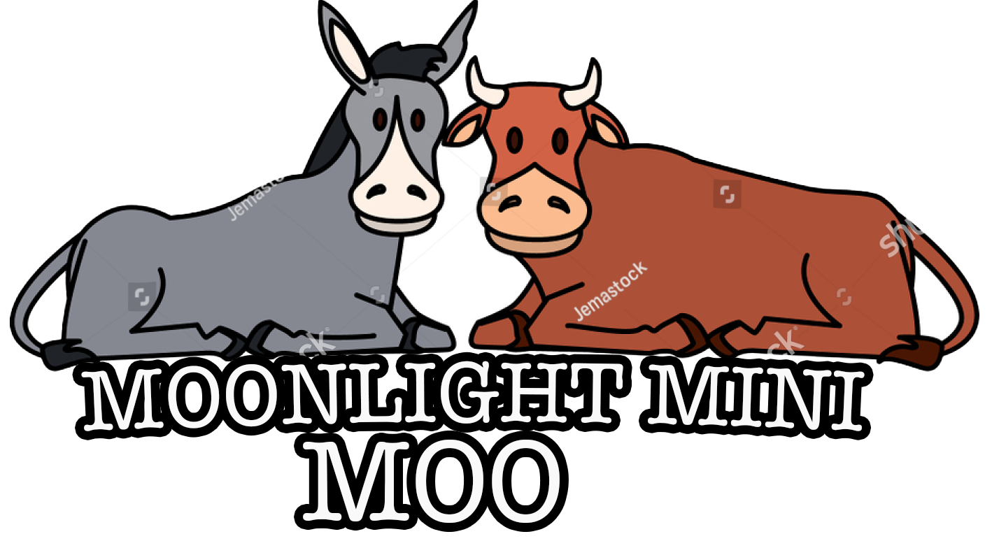 HOME - Moonlight Mini Moo